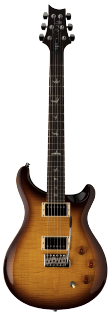 SE DGT McCarty Tobacco Sunburst Electric Guitar with Birds – Musos Corner